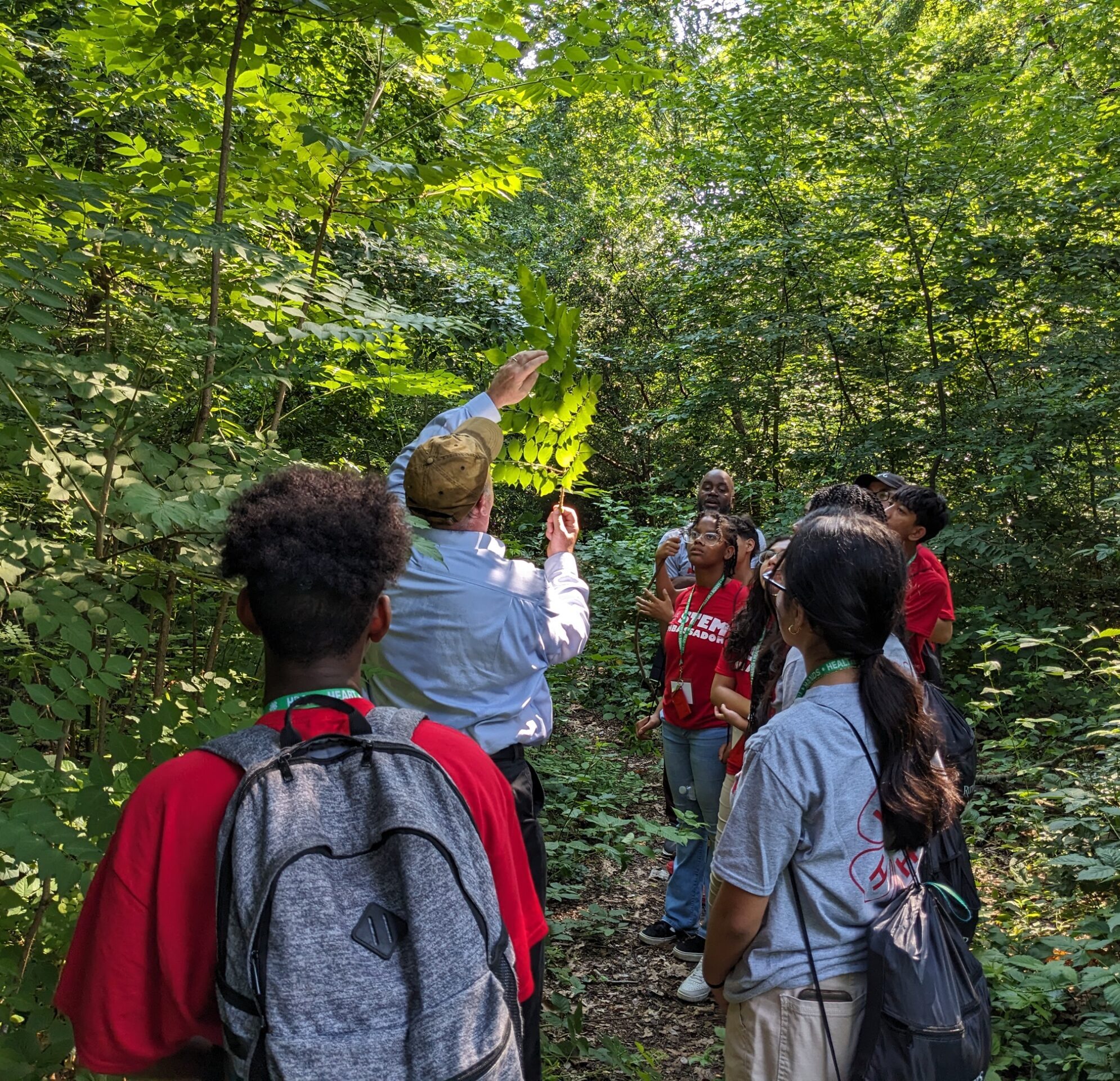 Outreach Program – Urban Forestry Program